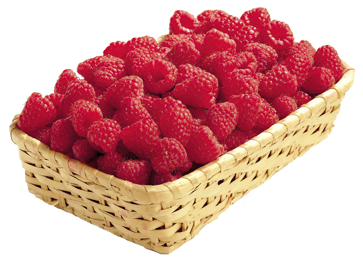 Lamponi - Serenestar